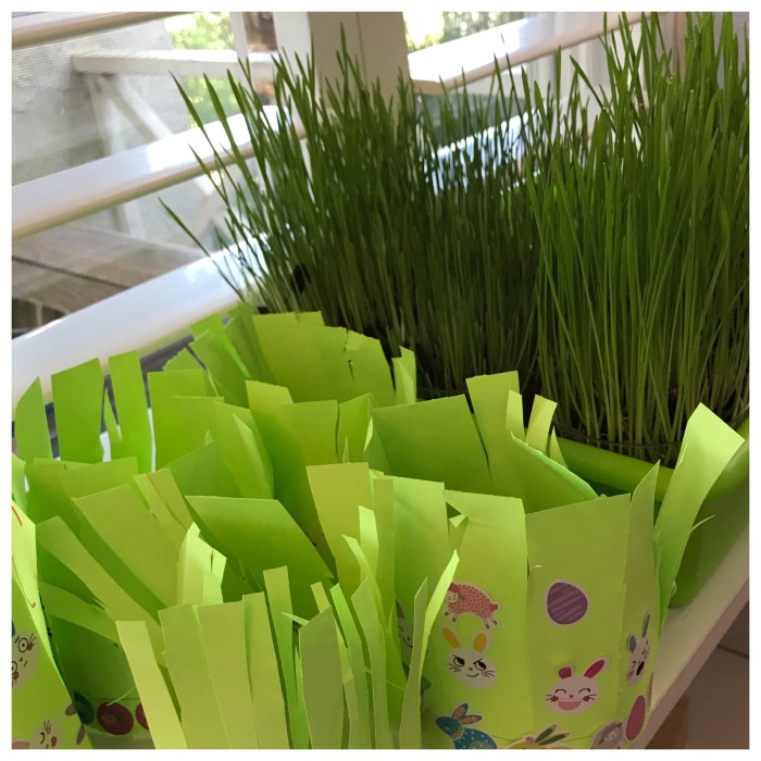 Easter Preschool Scissor Activities - Ms. Stephanie's Preschool