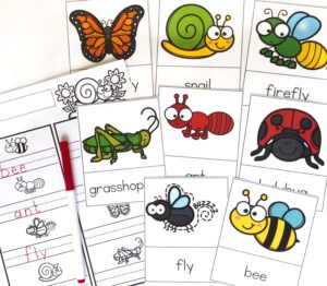 Insect Writing Activity - Ms. Stephanie's Preschool