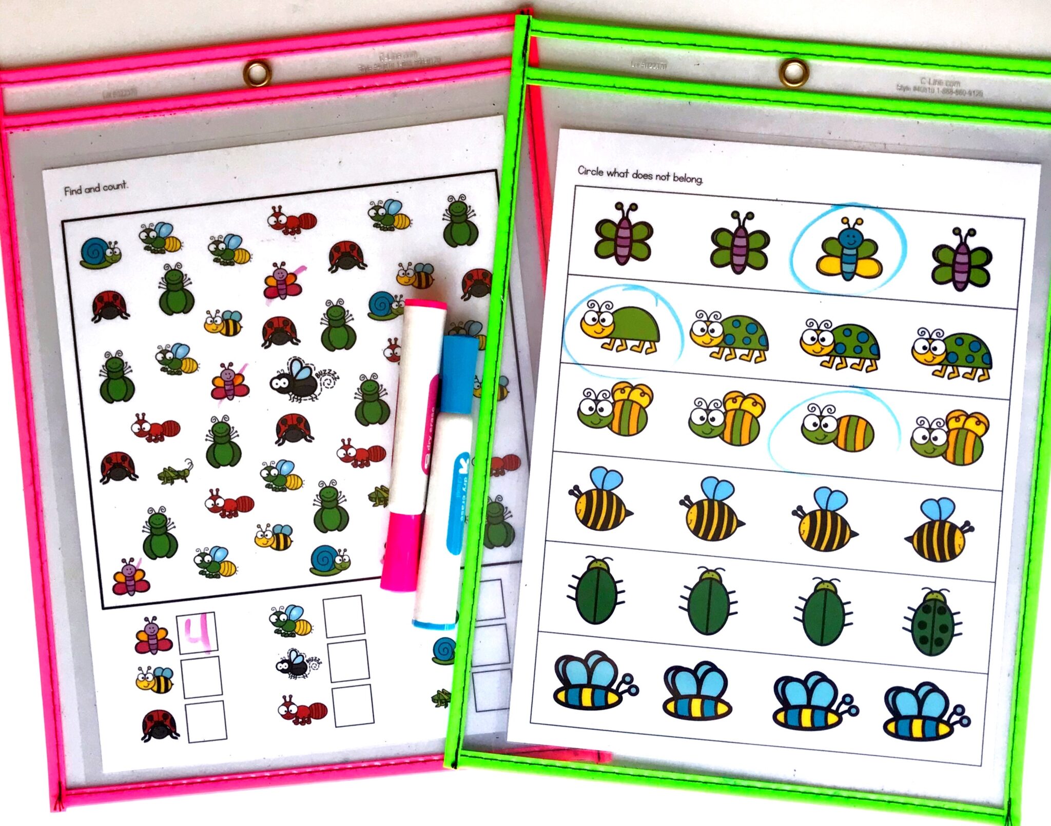 What is different Insect Activity - Ms. Stephanie's Preschool