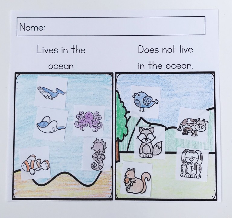 Ocean Animal Activities for the Preschool Classroom - Ms. Stephanie's ...