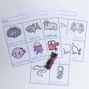 Ocean Animal Activities for the Preschool Classroom - Ms. Stephanie's ...