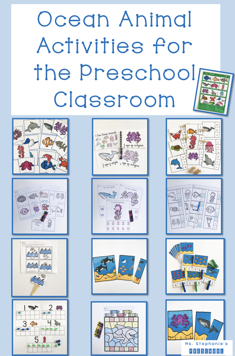 Ocean Animal Activities for the Preschool Classroom - Ms. Stephanie's ...