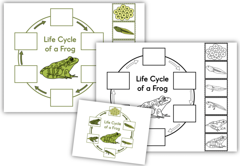 Frog Preschool Activities - Ms. Stephanie's Preschool