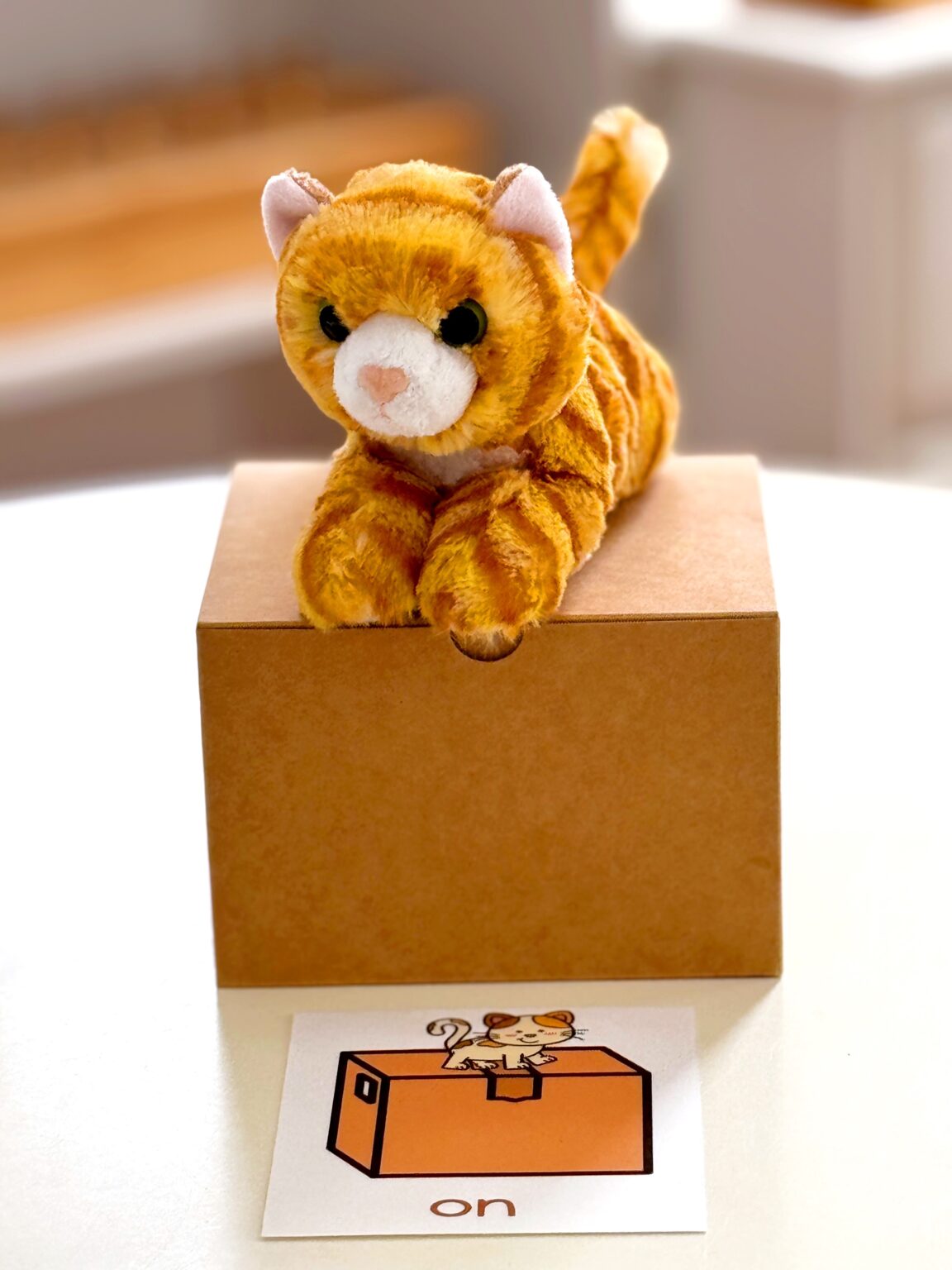 The Cat and The Box - A Preposition Activity - Ms. Stephanie's Preschool