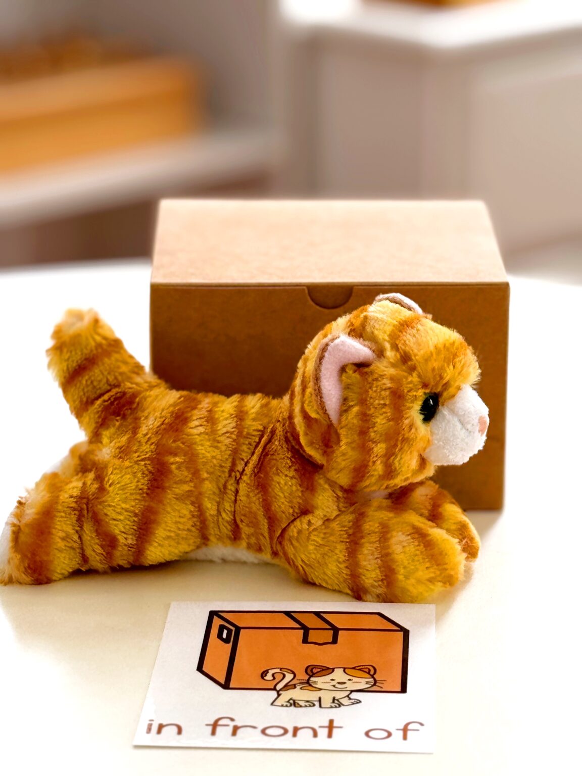 The Cat and The Box - A Preposition Activity - Ms. Stephanie's Preschool