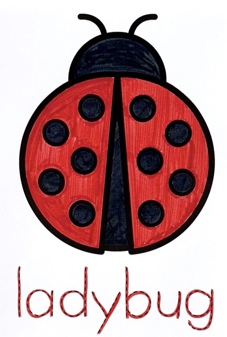 Ladybug Preschool Activities - Ms. Stephanie's Preschool