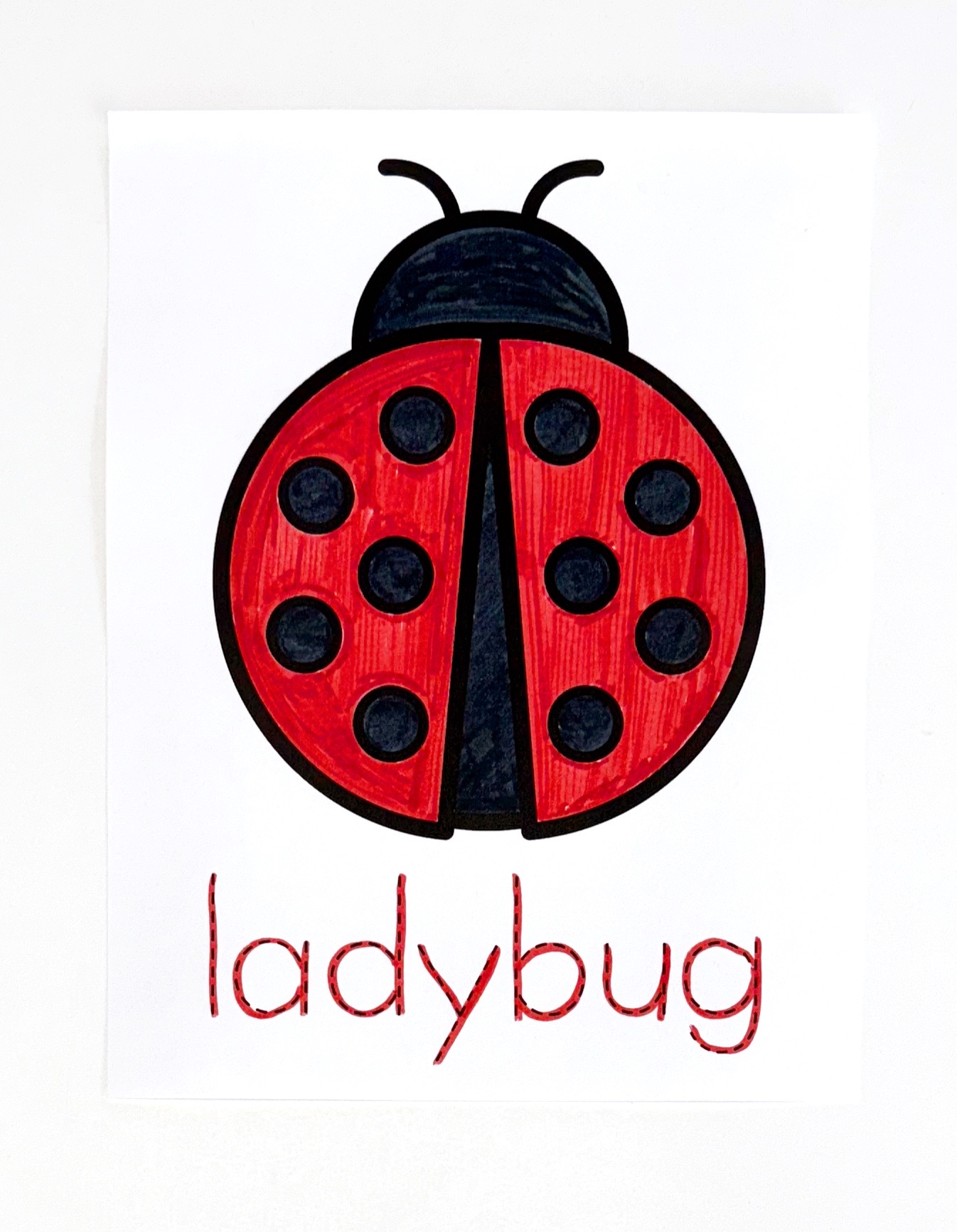 Ladybug Coloring Page Worksheet - Ms. Stephanie's Preschool